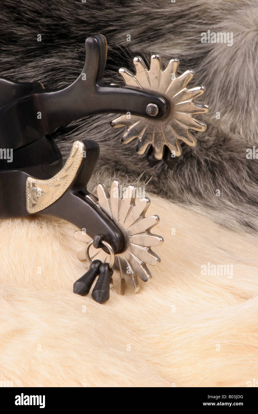 Pony reiterin mit sporen -Fotos und -Bildmaterial in hoher Auflösung ...