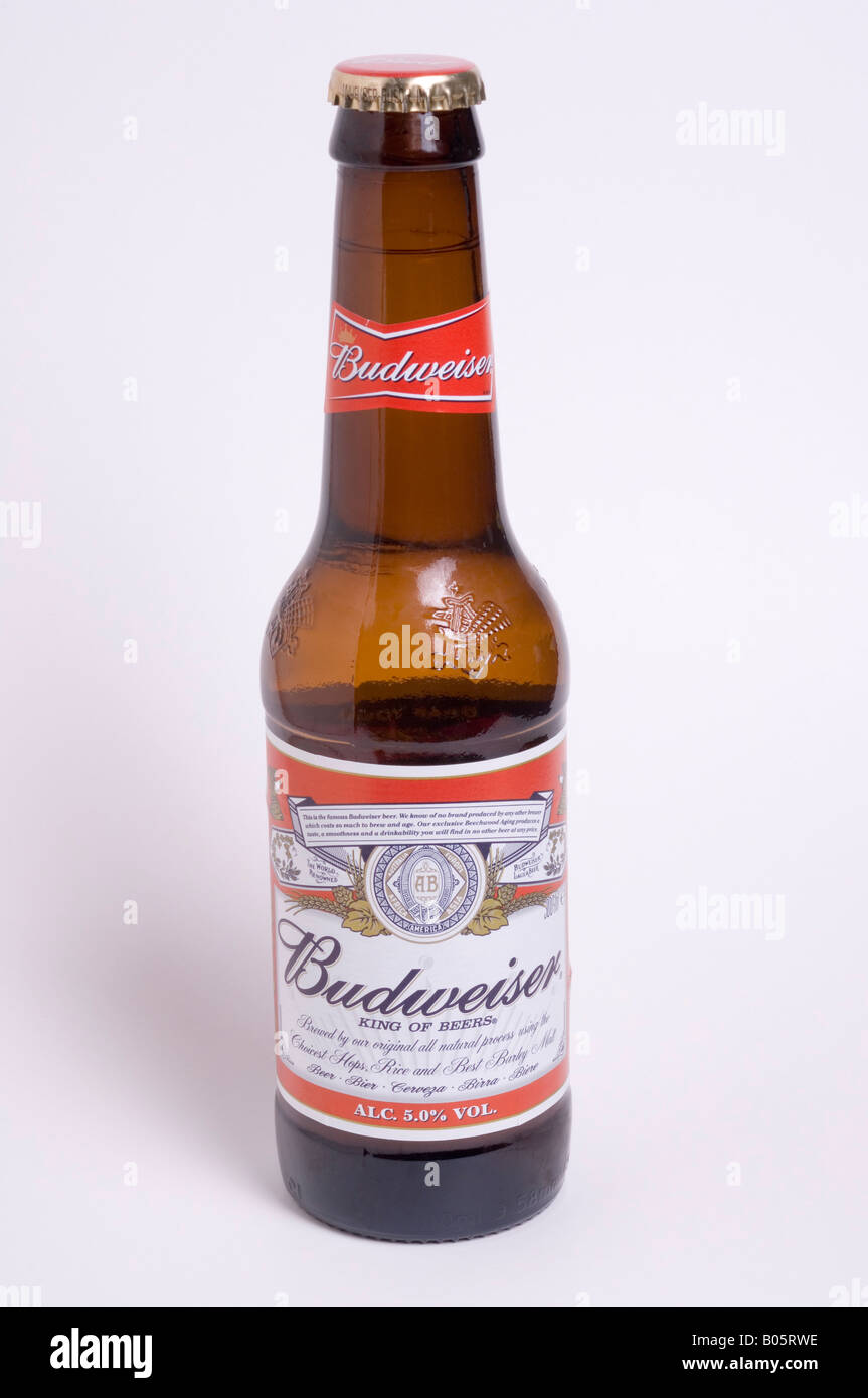 Budweiser bier -Fotos und -Bildmaterial in hoher Auflösung – Alamy