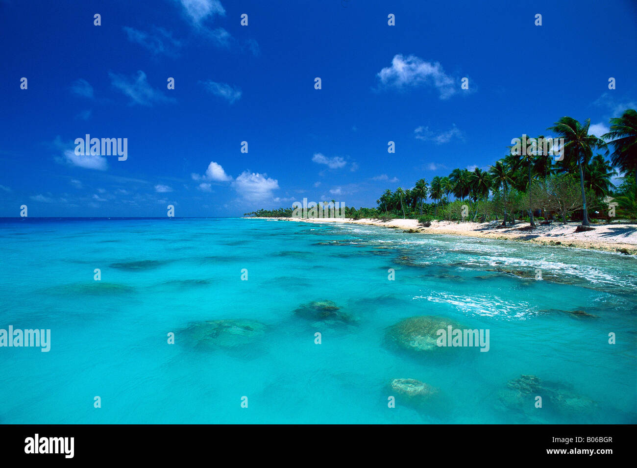 France french polynesia rangiroa atoll -Fotos und -Bildmaterial in ...