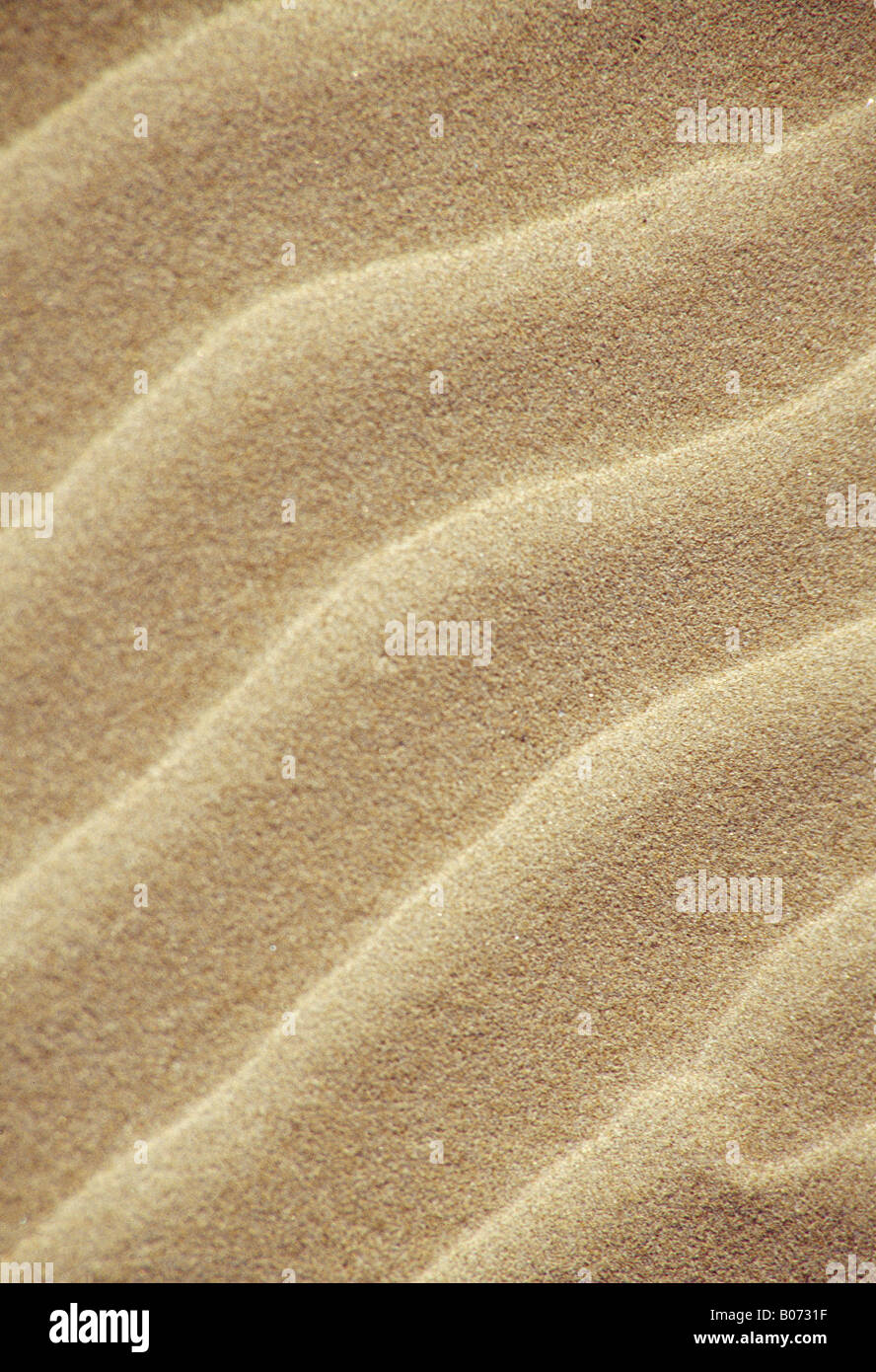 Textura de fondo beige -Fotos und -Bildmaterial in hoher Auflösung – Alamy