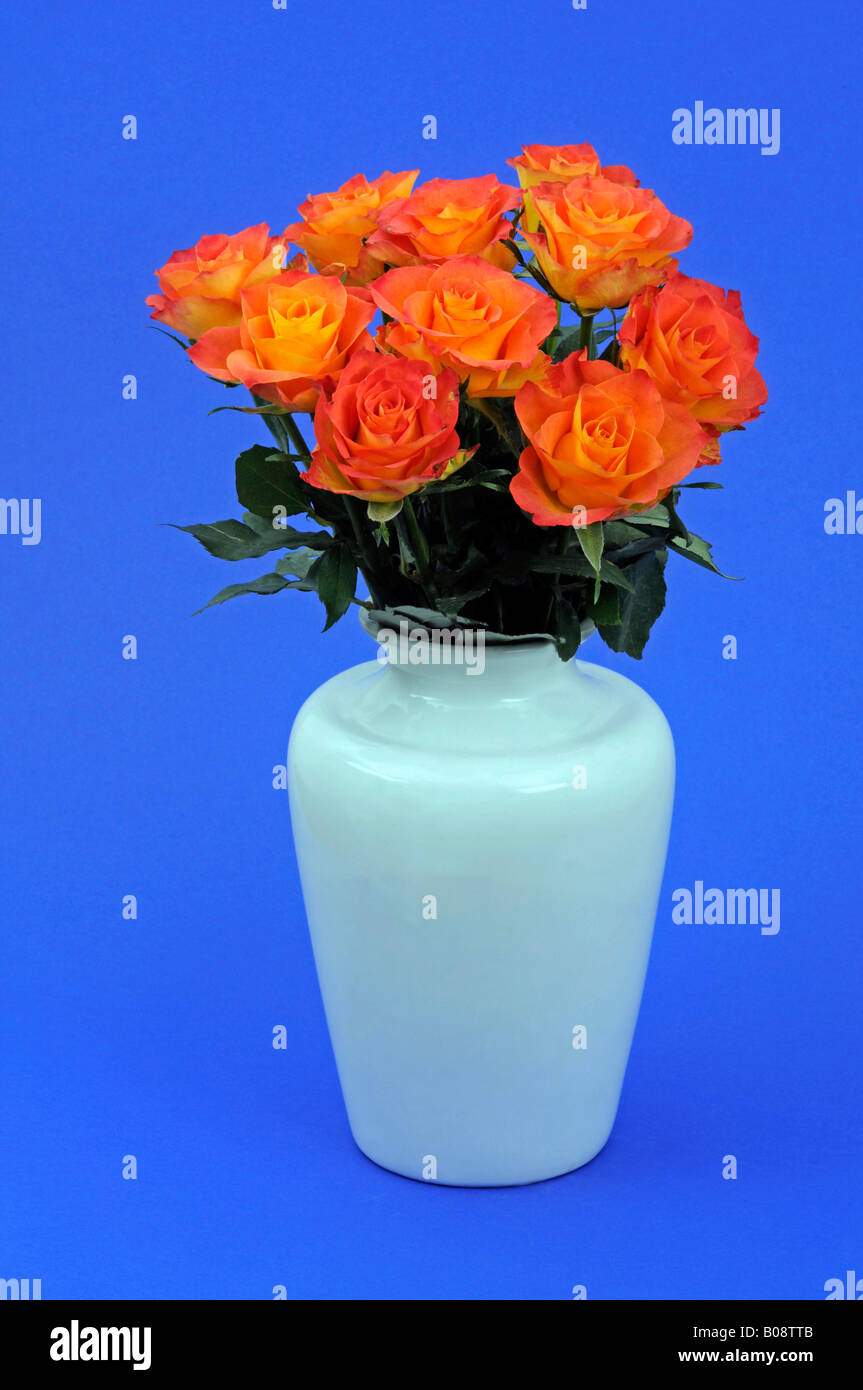 Strauß Rosen in einer vase Stockfotografie - Alamy
