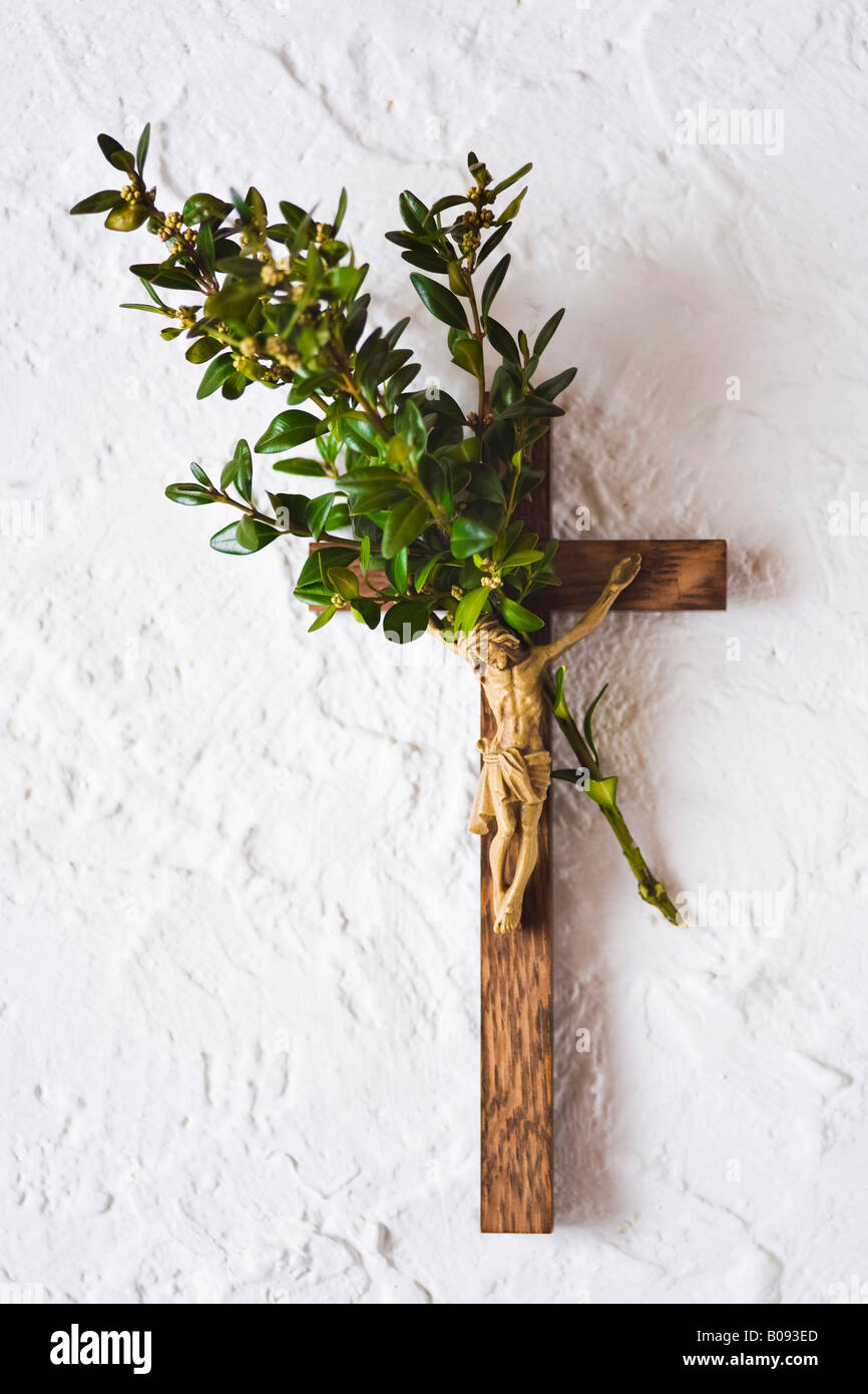 Box oder Buchsbaum Zweig am Kreuz Stockfotografie - Alamy