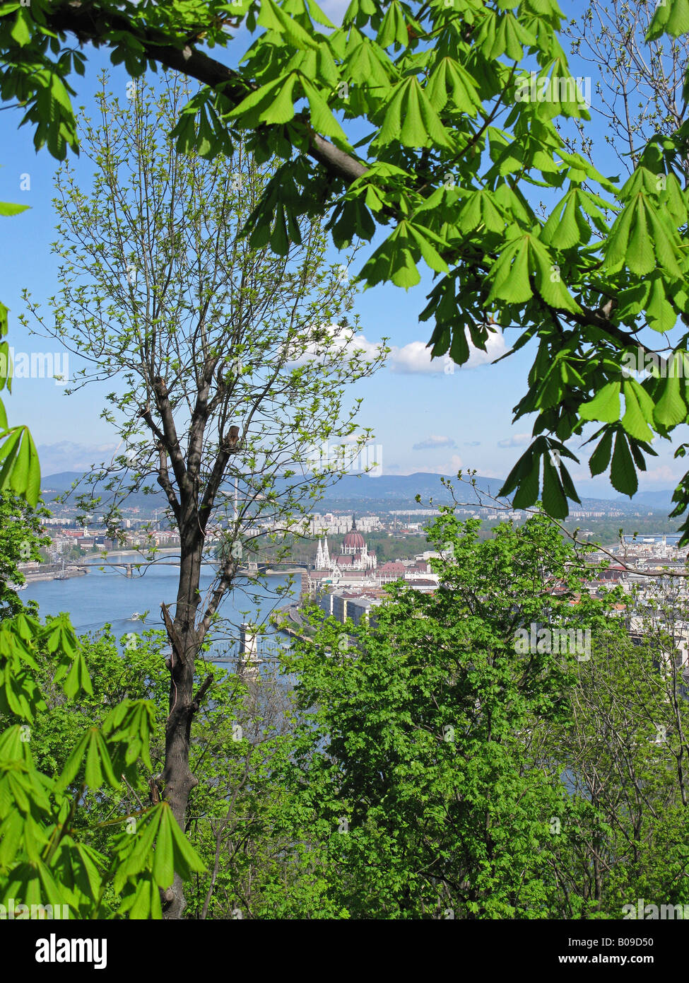 BUDAPEST, UNGARN. Blick auf die Donau und Pest aus den Wäldern rund um ...