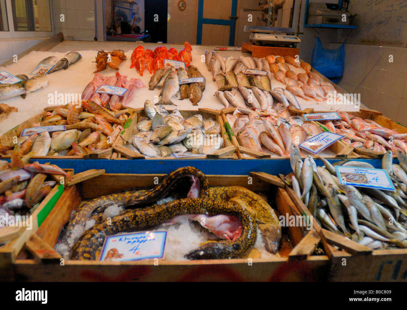 Frischer Fisch stall Markthalle, Chania, Kreta, Griechenland, Europa ...