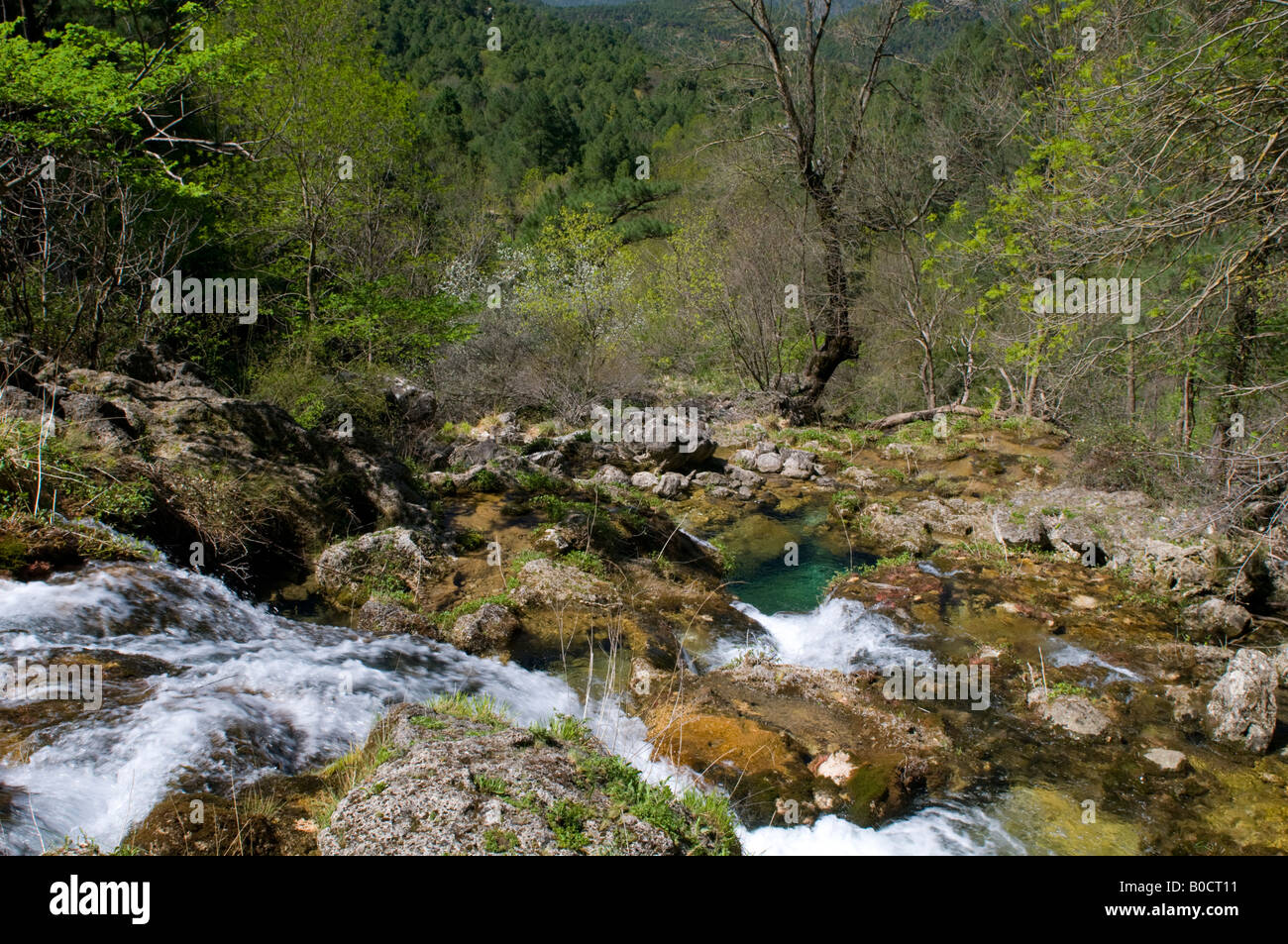 Nacimiento del río mundo -Fotos und -Bildmaterial in hoher Auflösung ...