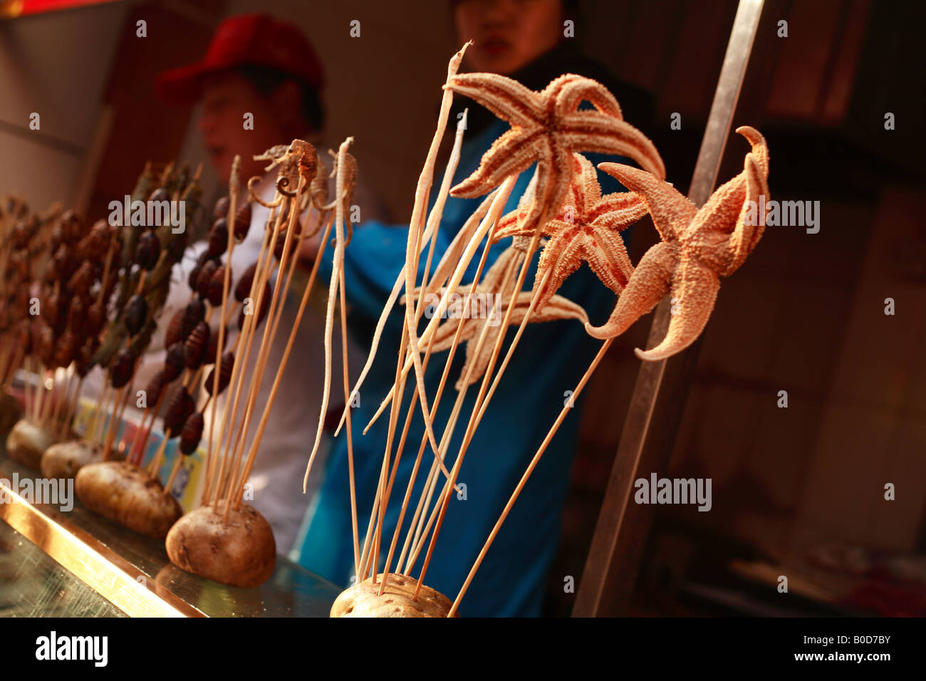 Seeigel larven -Fotos und -Bildmaterial in hoher Auflösung – Alamy