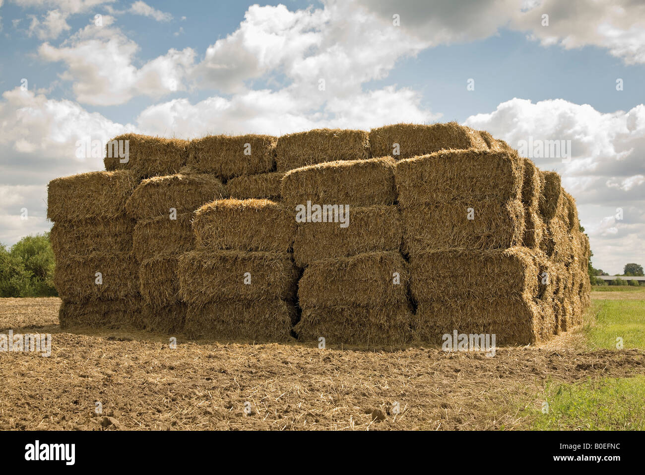 Stroh materialien Stockfotos und -bilder Kaufen - Alamy