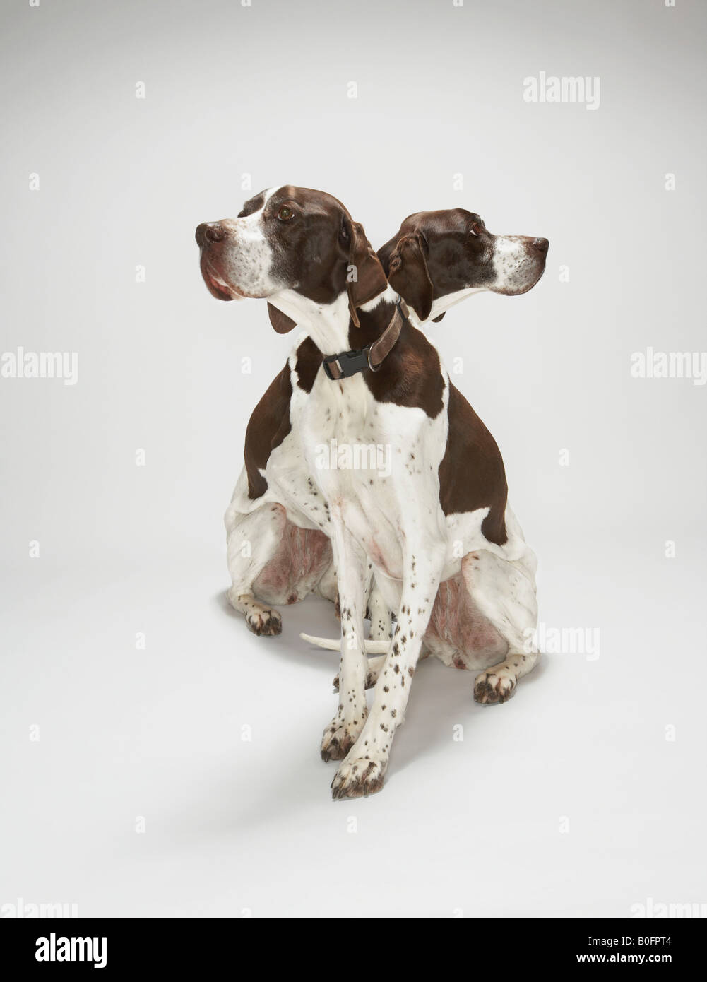 Zeiger richtungen -Fotos und -Bildmaterial in hoher Auflösung – Alamy