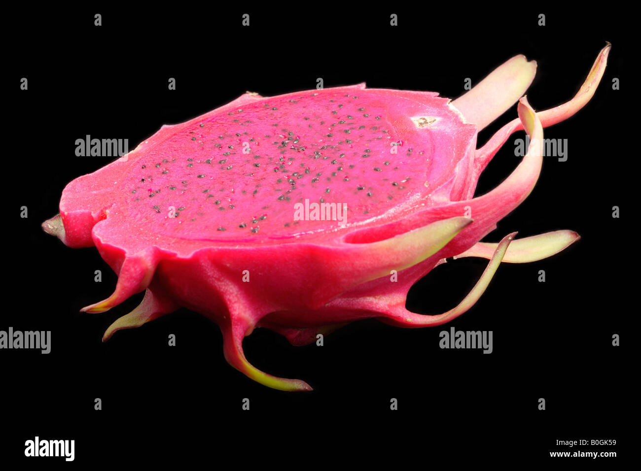 Dragon fruit plant flora -Fotos und -Bildmaterial in hoher Auflösung ...