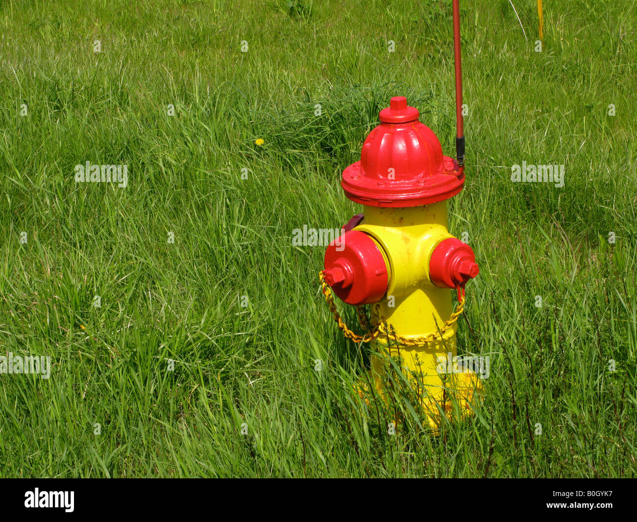 Hydrant in grassy field -Fotos und -Bildmaterial in hoher Auflösung – Alamy