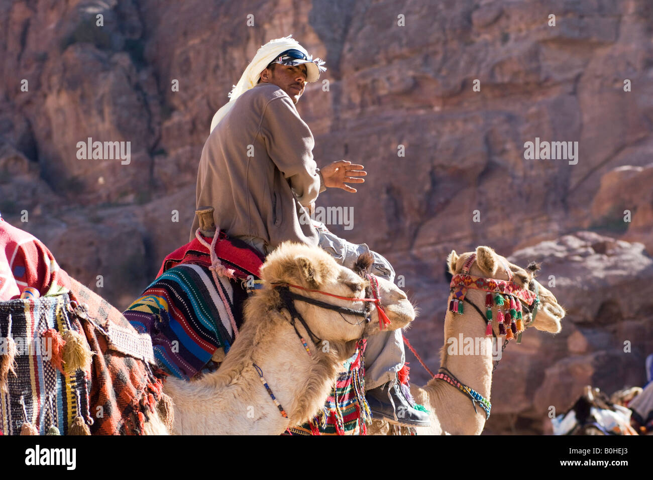 Beduinen-Mann mit Kamelen, Petra, Jordanien, Naher Osten ...