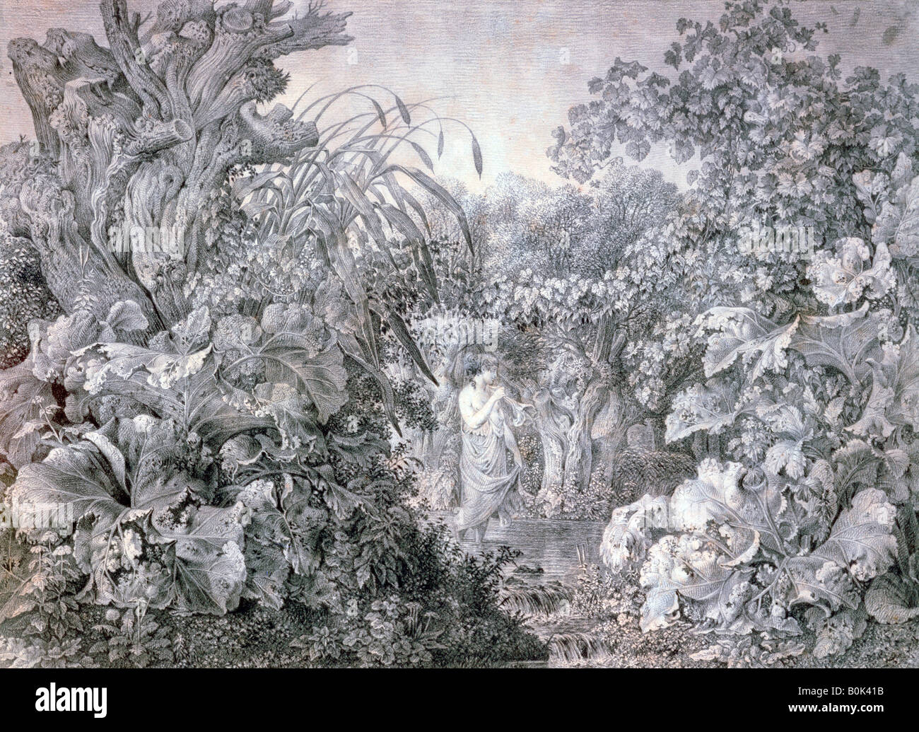 Kolbe Baum Stockfotos und -bilder Kaufen - Alamy