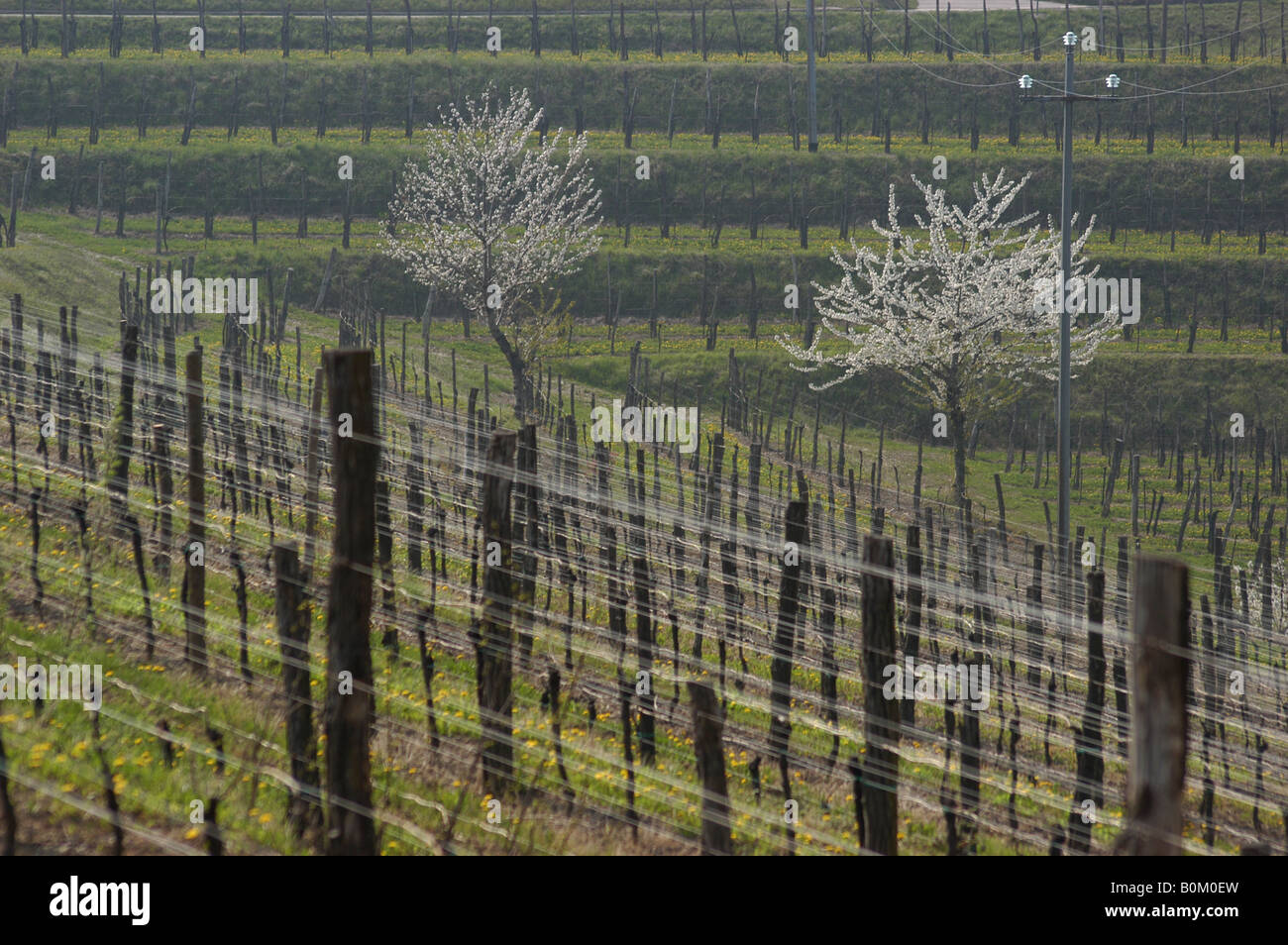 Rocca Bernarda Stockfotos und -bilder Kaufen - Alamy