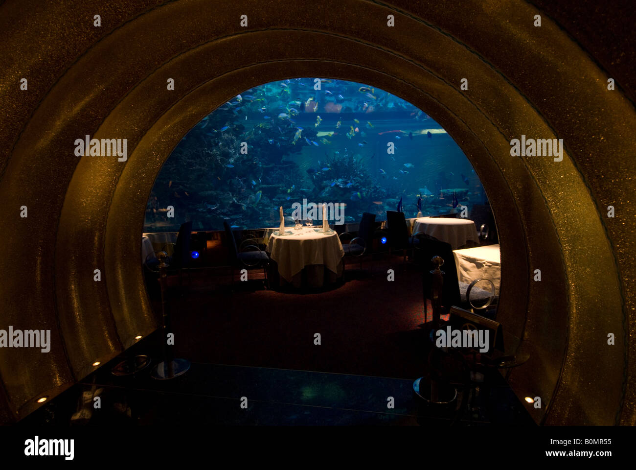 Al aquarium restaurant burj al arab -Fotos und -Bildmaterial in hoher ...