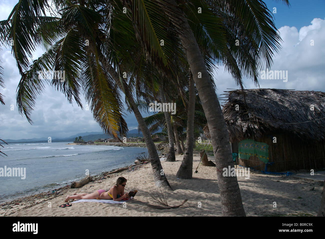 Isla tigre -Fotos und -Bildmaterial in hoher Auflösung – Alamy