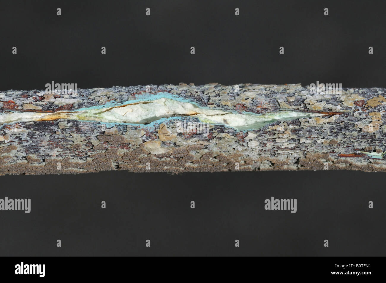 Immersion heater -Fotos und -Bildmaterial in hoher Auflösung – Alamy