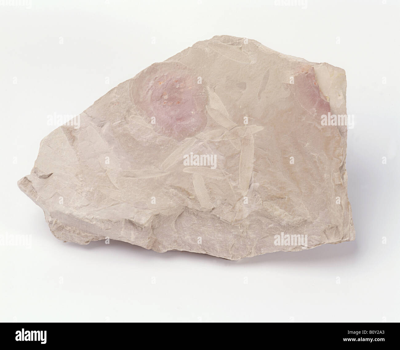 Sedimentary rocks -Fotos und -Bildmaterial in hoher Auflösung – Alamy