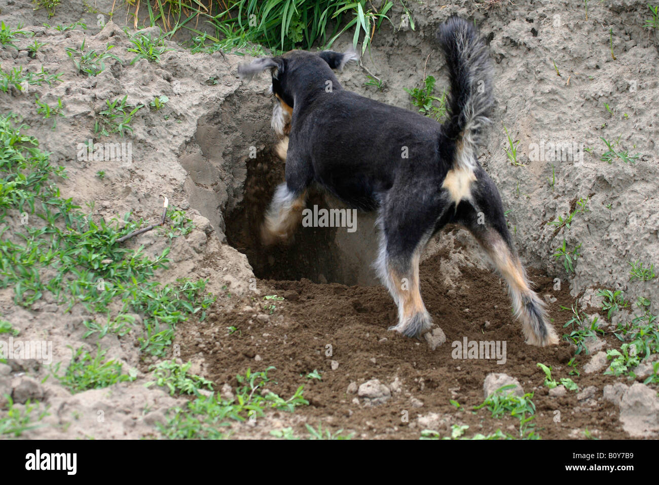 Horizontal graben -Fotos und -Bildmaterial in hoher Auflösung – Alamy