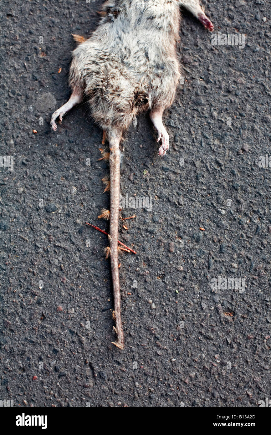 Rigor mortis -Fotos und -Bildmaterial in hoher Auflösung – Alamy