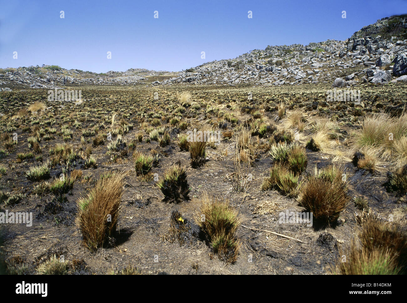 Geographie/Reisen, Simbabwe, Landschaften, Nyanga National Park ...