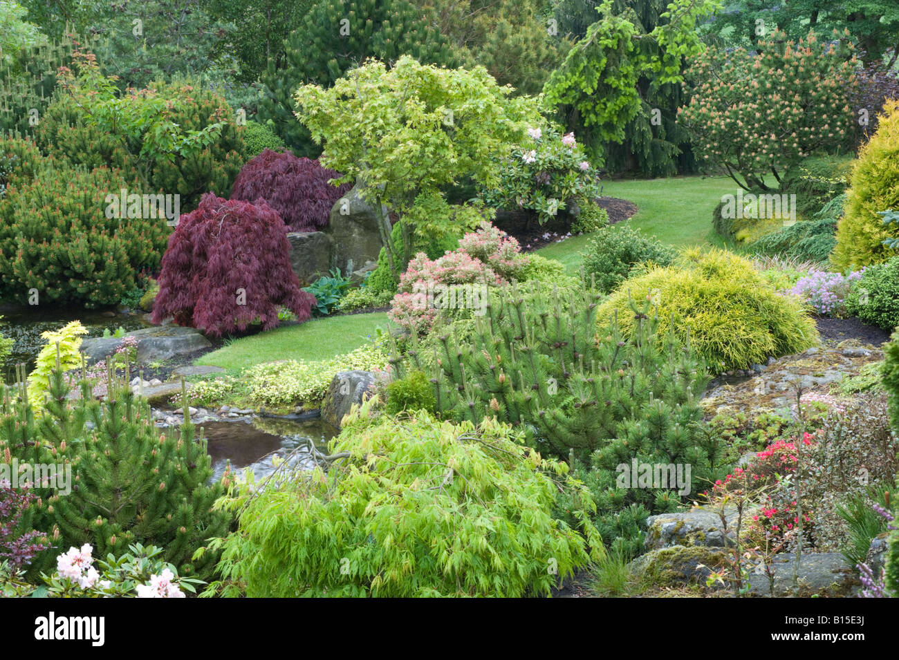 Garden design conifers rock -Fotos und -Bildmaterial in hoher Auflösung ...