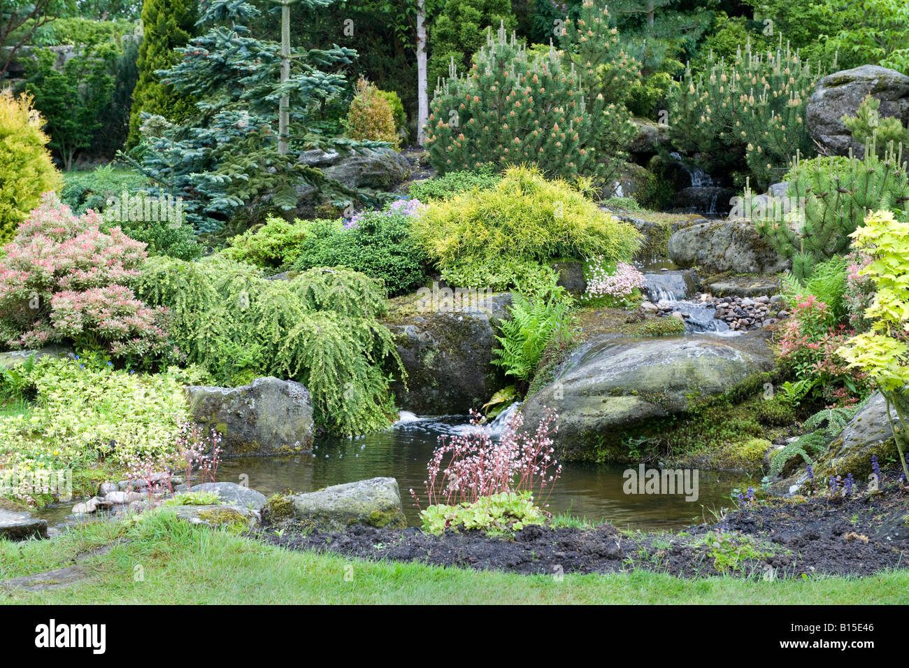 Garden design conifers rock -Fotos und -Bildmaterial in hoher Auflösung ...