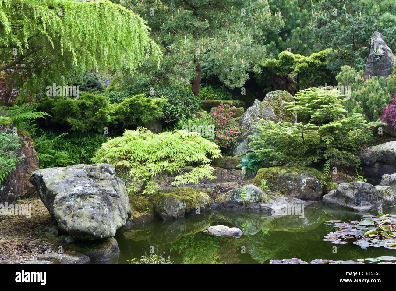 Garden design conifers rock -Fotos und -Bildmaterial in hoher Auflösung ...