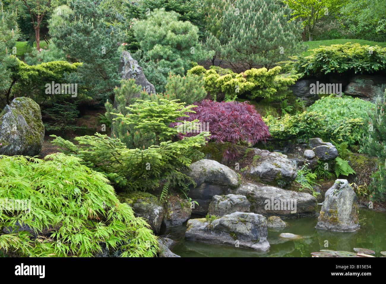 Garden design conifers rock -Fotos und -Bildmaterial in hoher Auflösung ...