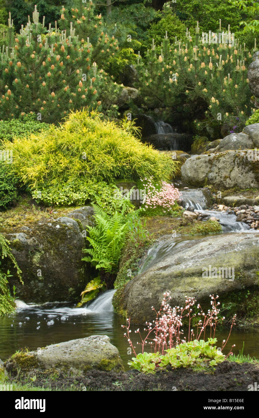 Garden design conifers rock -Fotos und -Bildmaterial in hoher Auflösung ...
