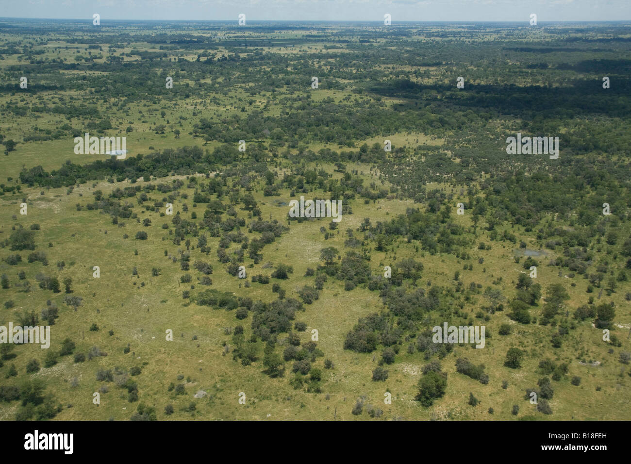 Luftaufnahme von Buschland Veldt botswana Stockfotografie - Alamy