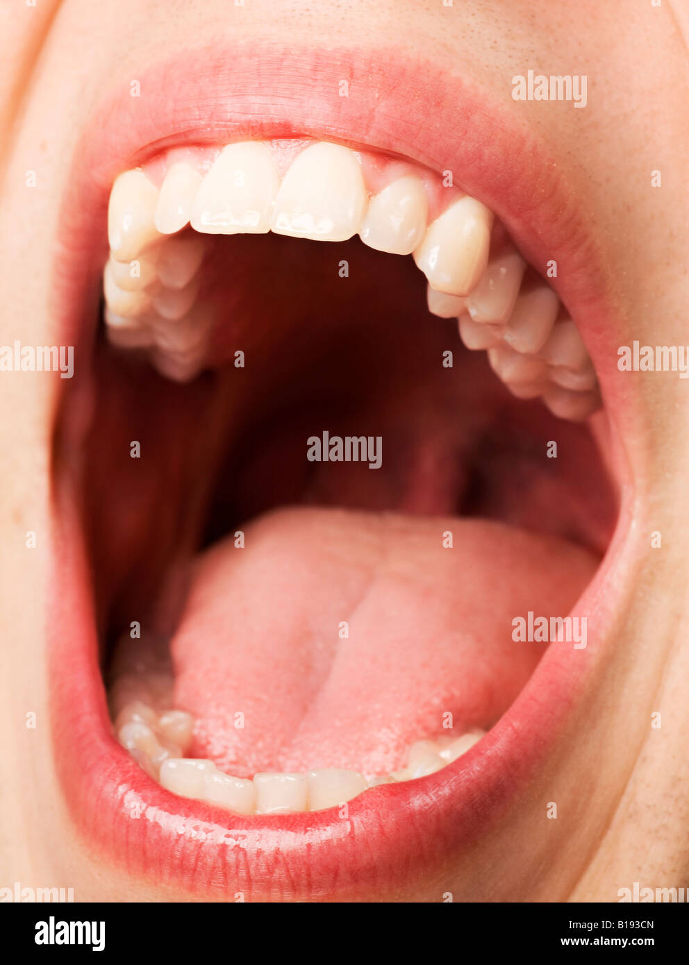 Screaming Mouth Woman Close Up Lips Fotos Und Bildmaterial In Hoher