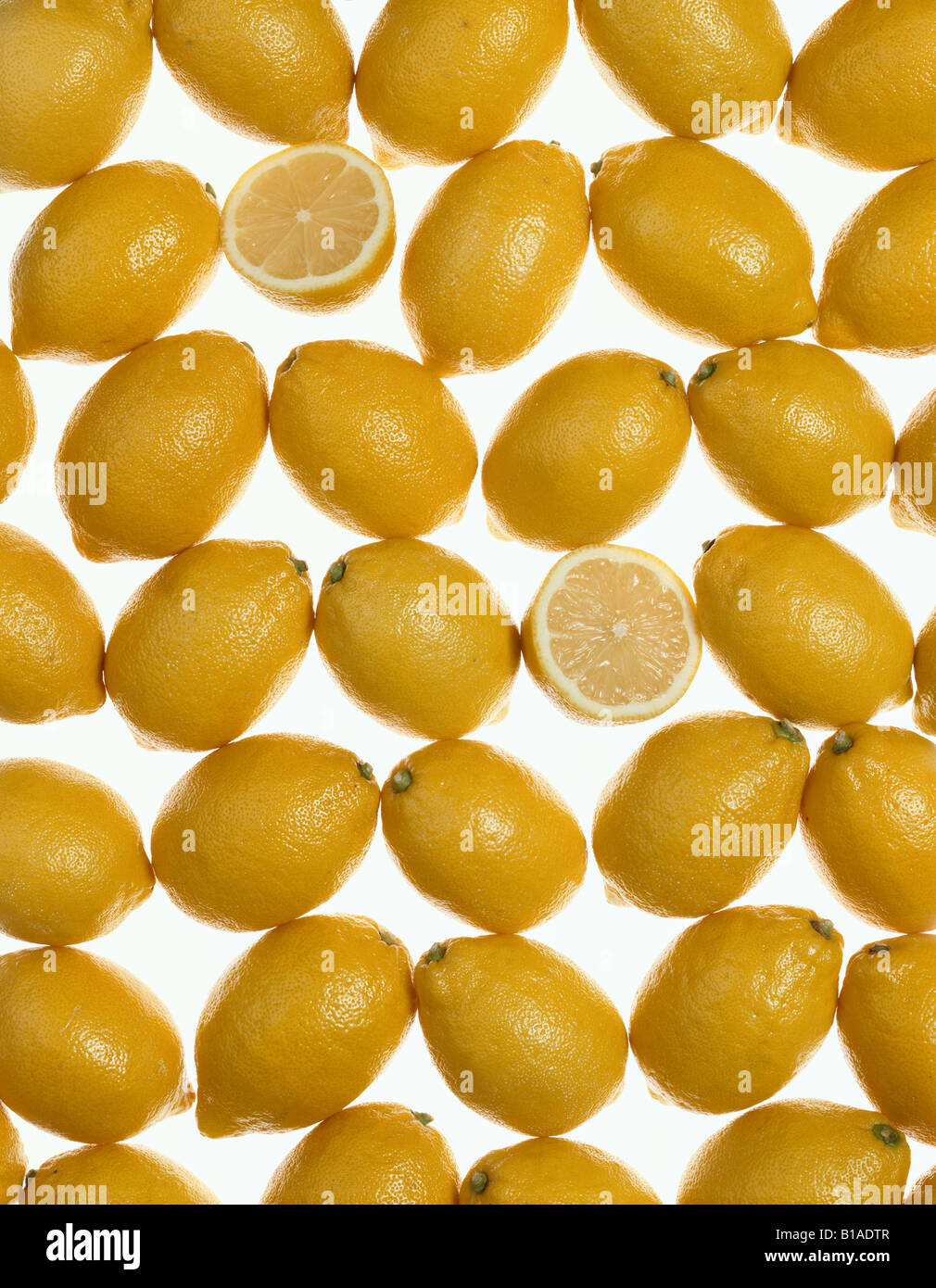 Reihen von zitronen -Fotos und -Bildmaterial in hoher Auflösung – Alamy