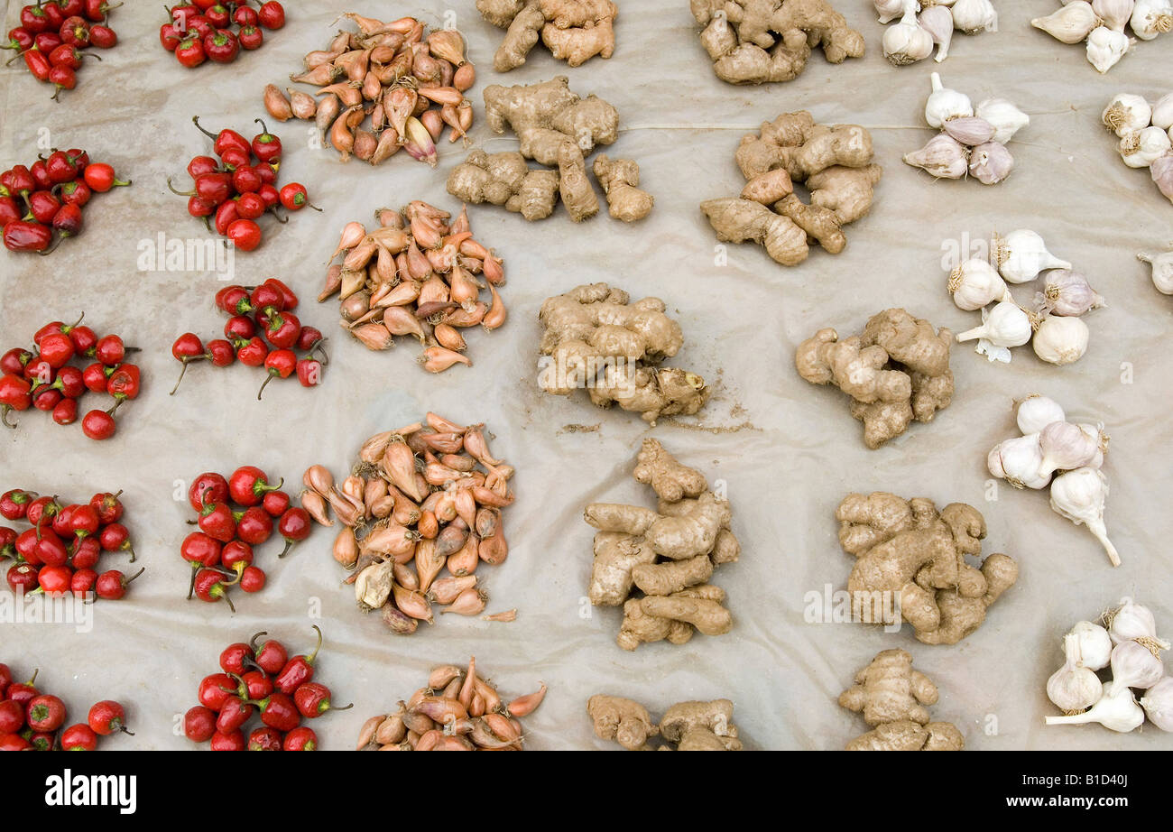 Sortieren sortiert sortieren sortiert -Fotos und -Bildmaterial in hoher ...