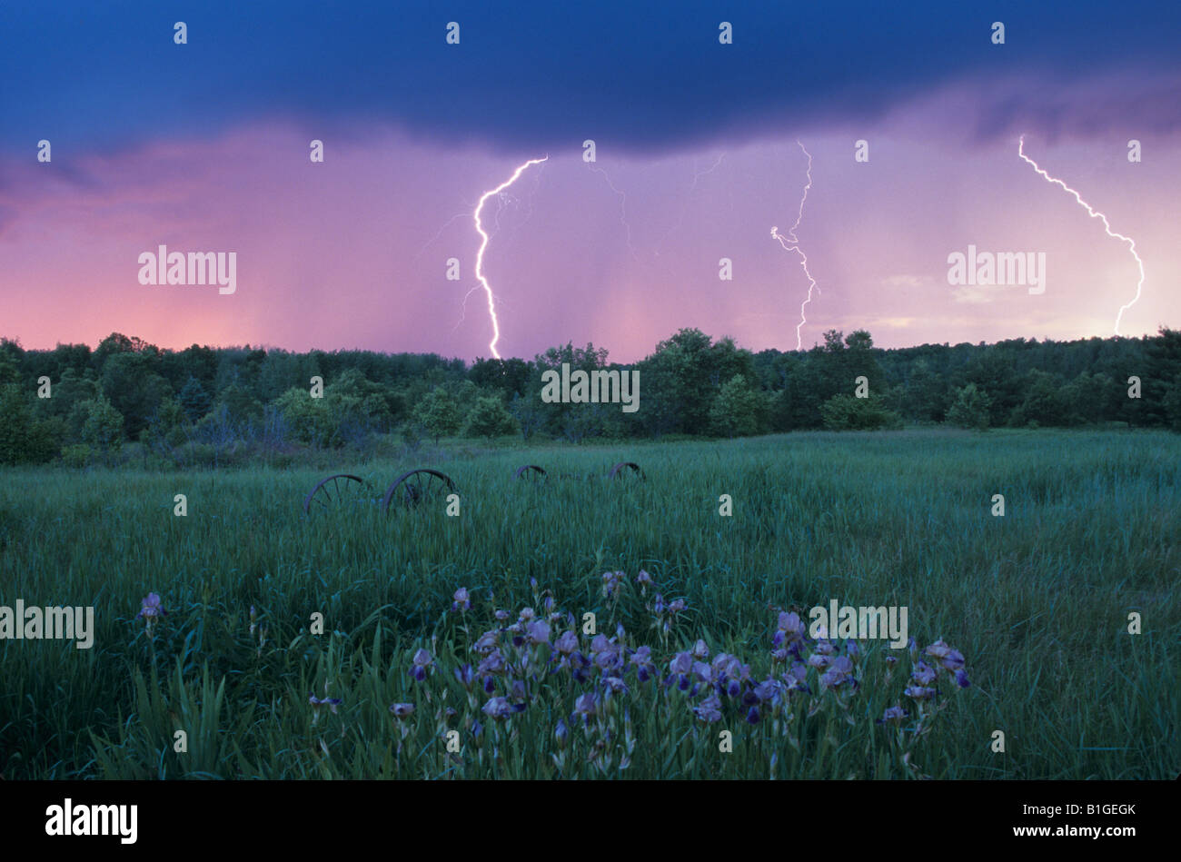 Donnern und blitzen -Fotos und -Bildmaterial in hoher Auflösung – Alamy