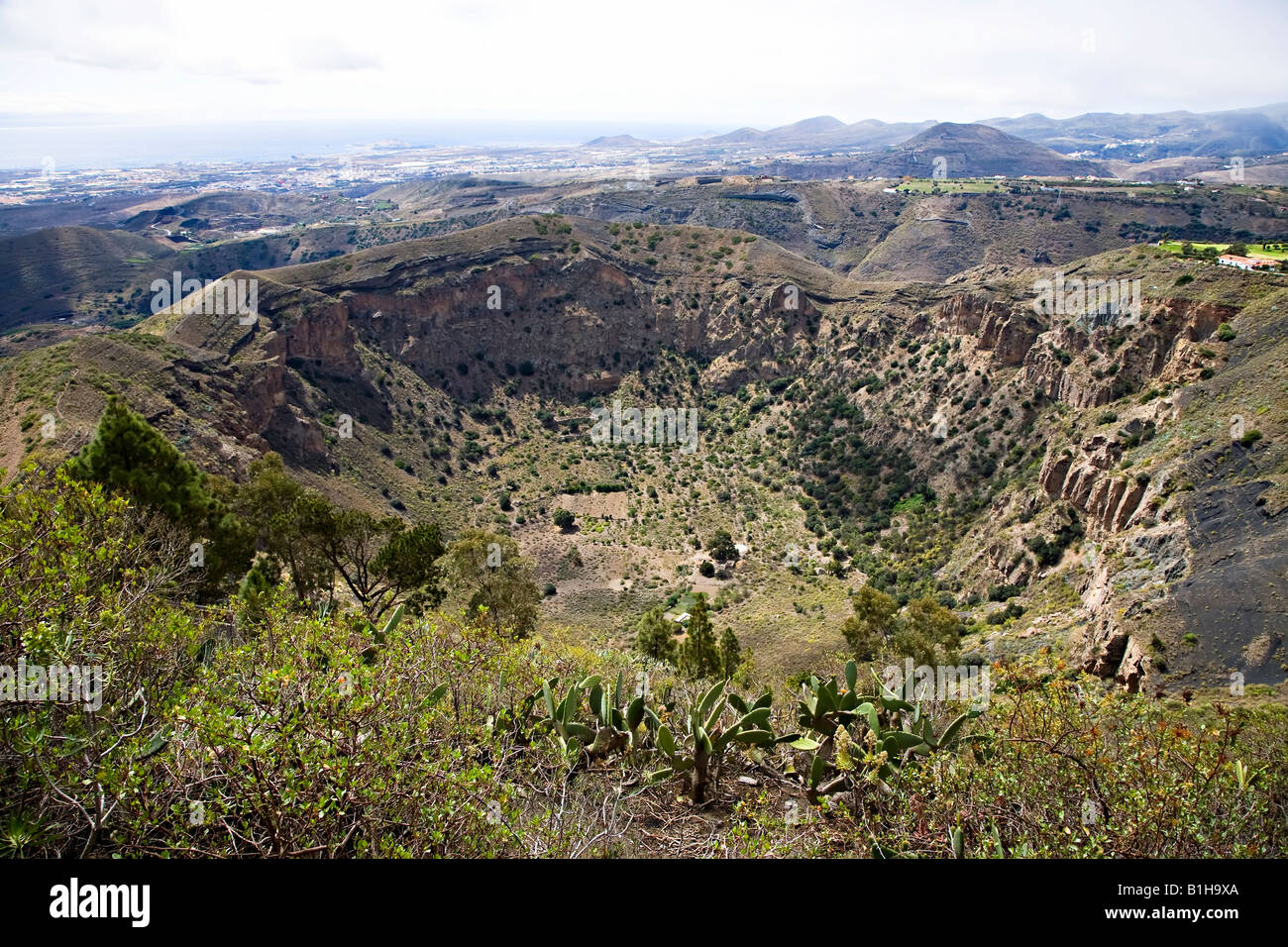 Vulkankrater der Caldera de Bandama Gran Canaria Spanien ...