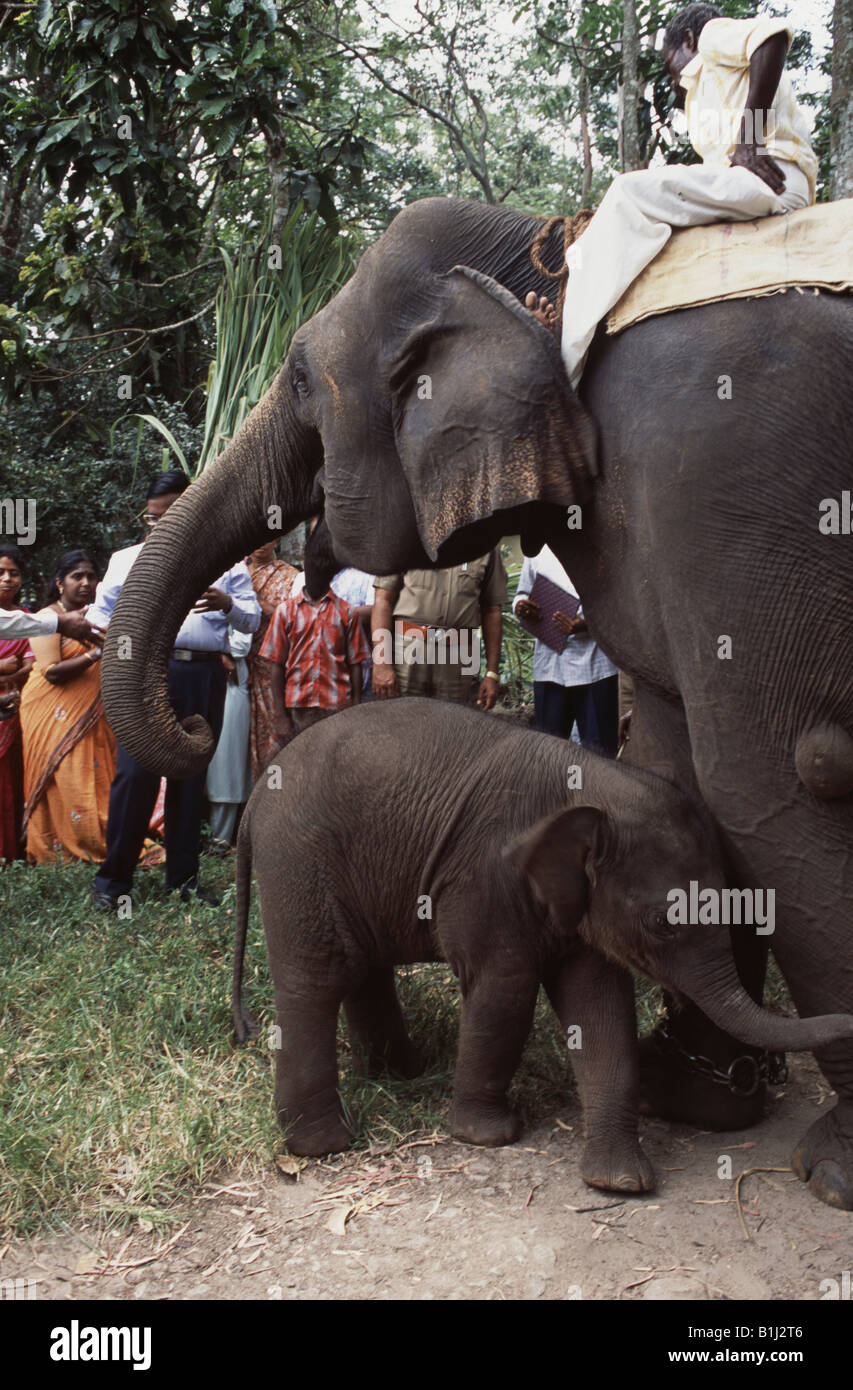 Indira gandhi wildlife sanctuary -Fotos und -Bildmaterial in hoher ...