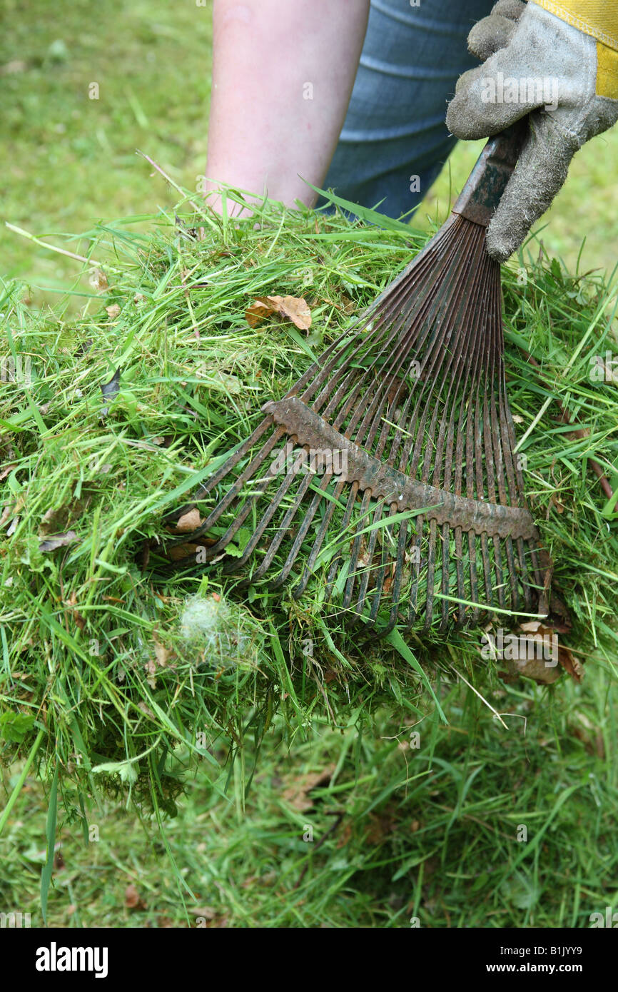 MIT HILFE EINER HARKE RASEN ZUR ABHOLUNG GRASSCHNITT Stockfotografie ...