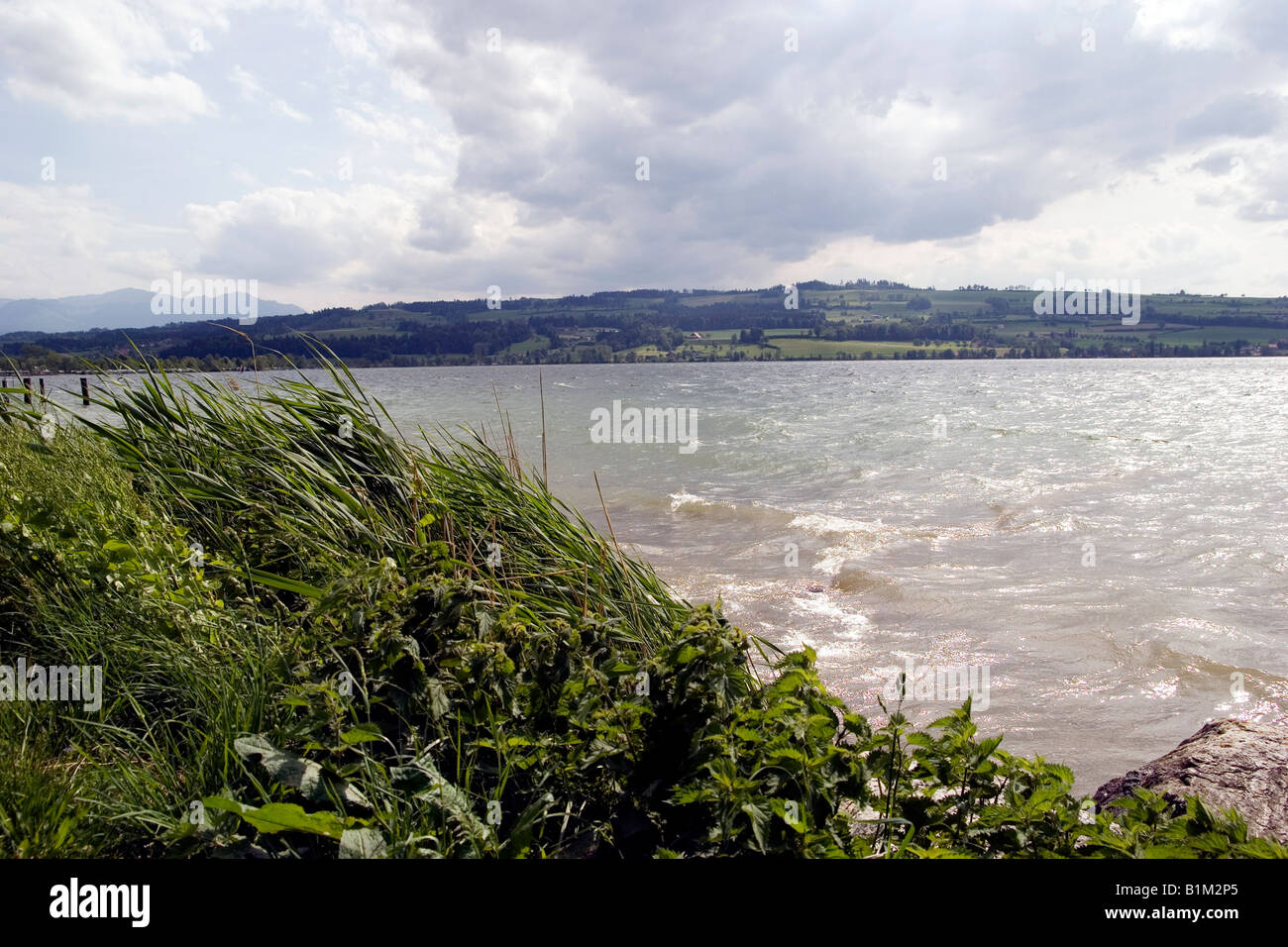 Der Rand des Sees Sursee Schweiz Stockfotografie - Alamy