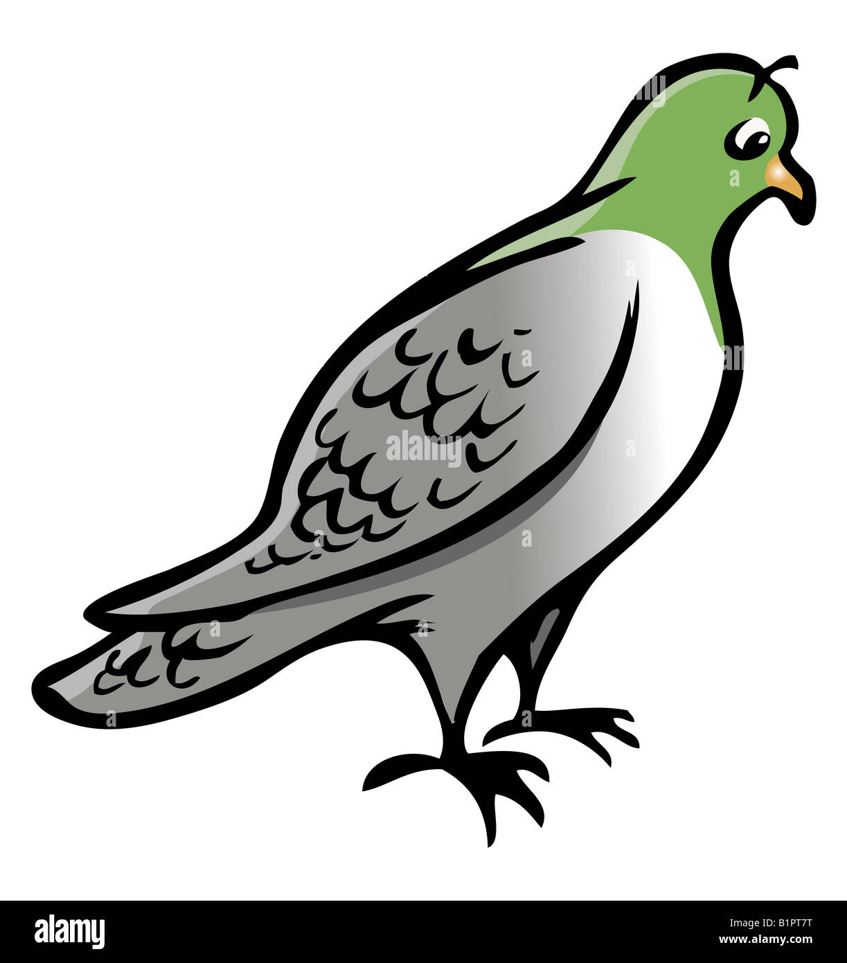 Cartoon Illustration einer Taube Stockfotografie - Alamy