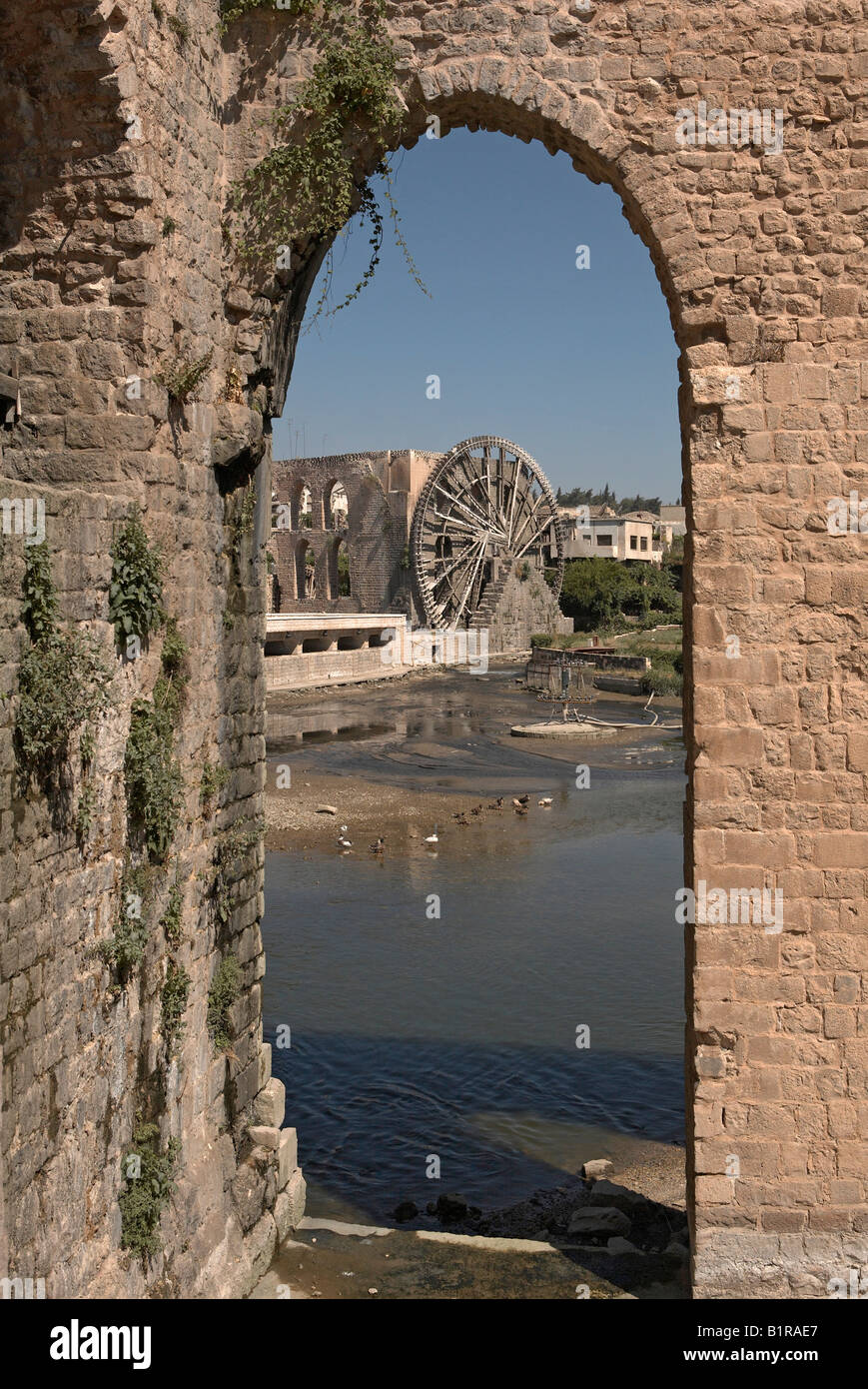 Orontes fluss syrien -Fotos und -Bildmaterial in hoher Auflösung – Alamy