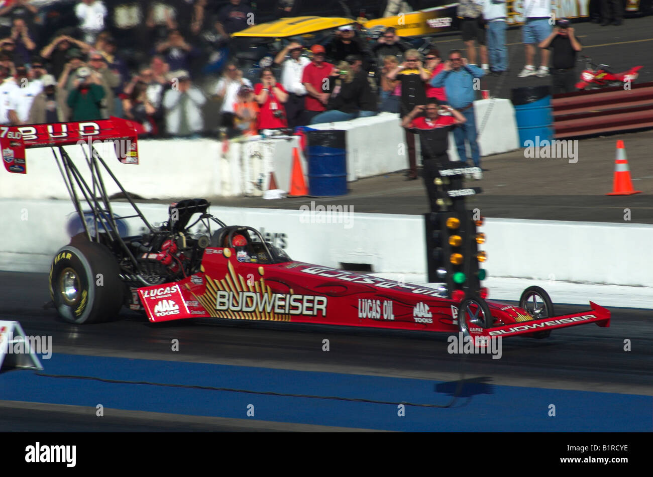 Brandon Bernstein "Budweiser" NHRA Top Fuel Dragster - abheben von der ...