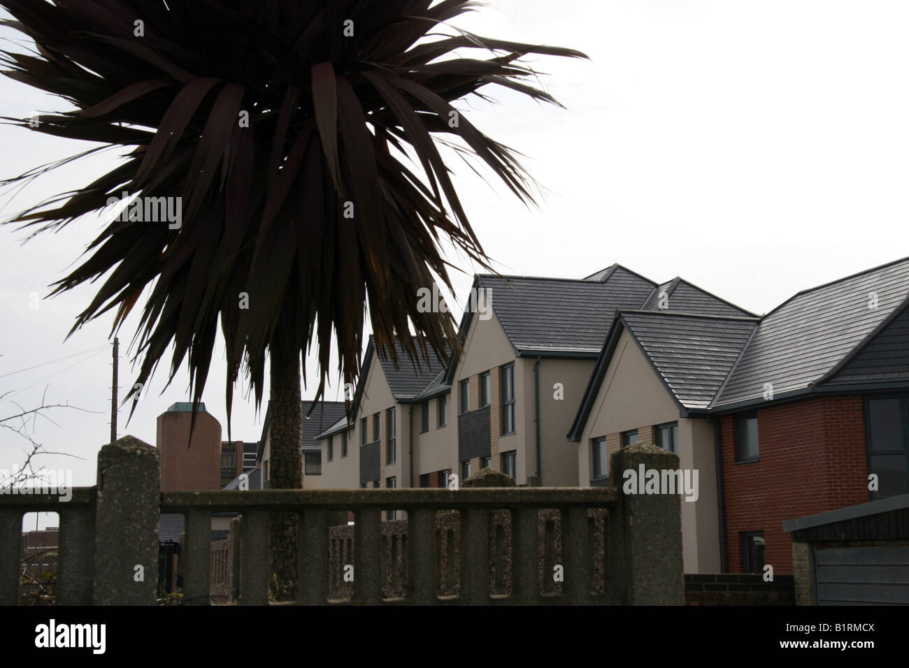 Beachtlicher baum -Fotos und -Bildmaterial in hoher Auflösung – Alamy