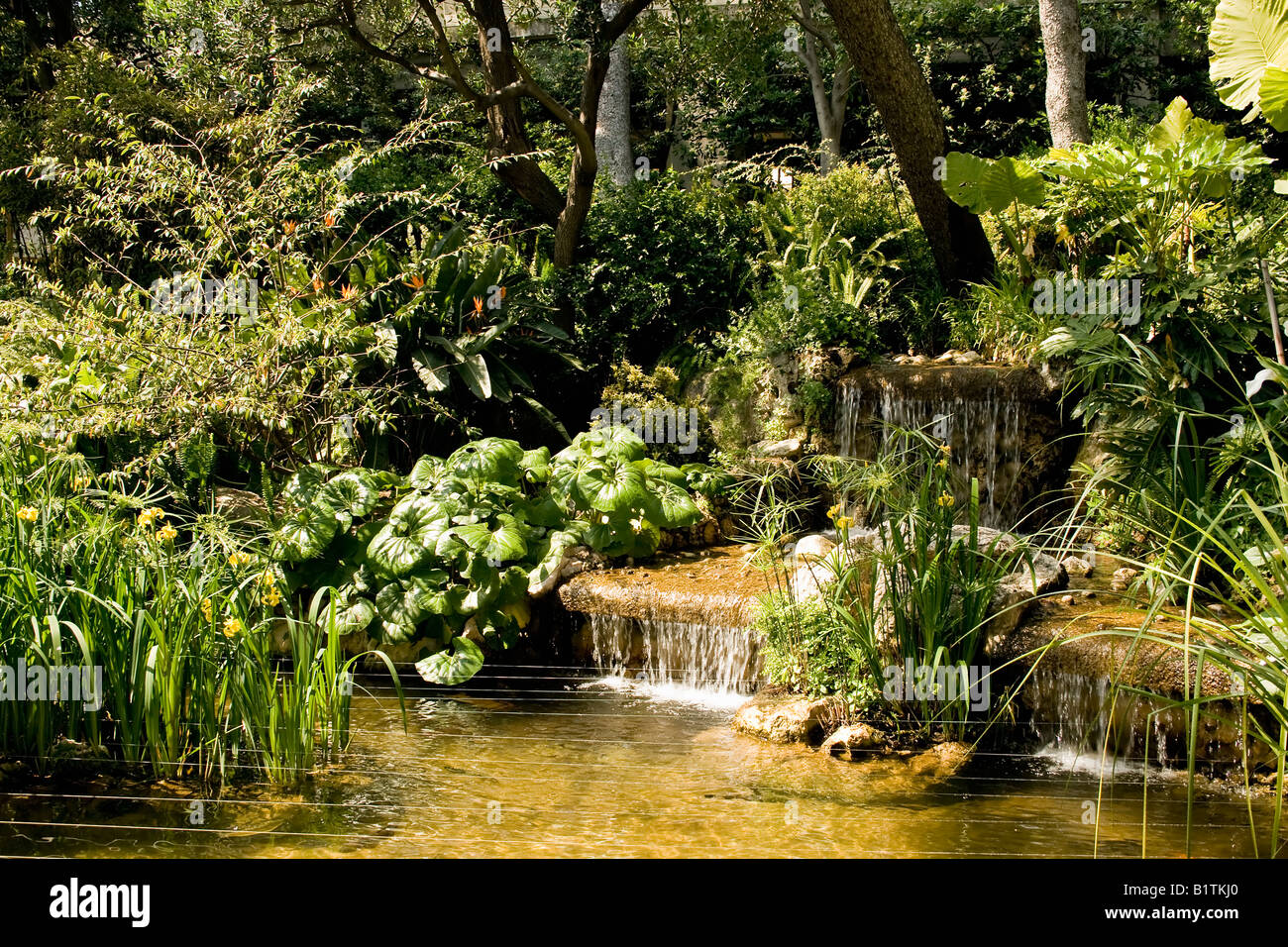 Monaco botanical garden -Fotos und -Bildmaterial in hoher Auflösung – Alamy