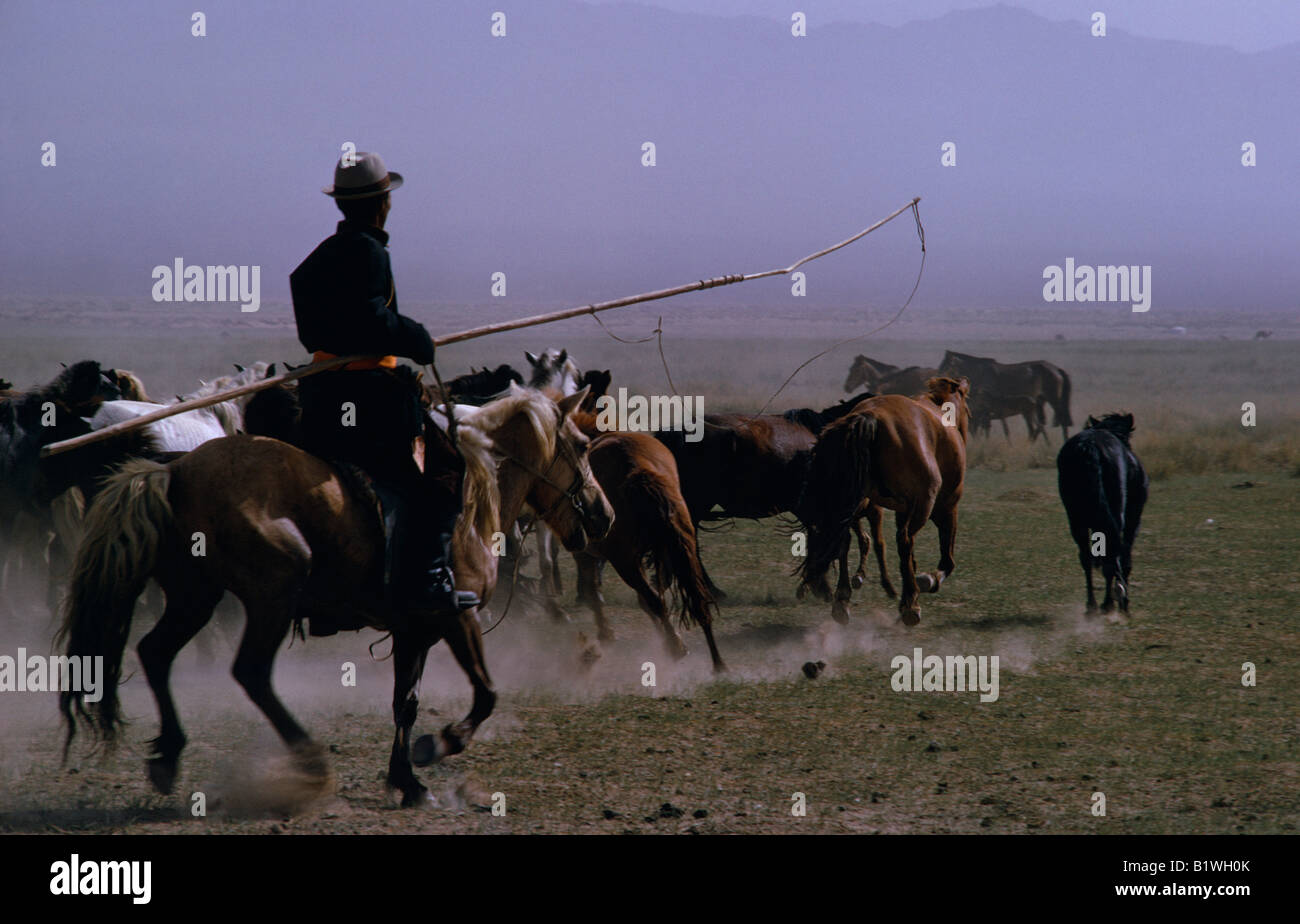 Mongol uls -Fotos und -Bildmaterial in hoher Auflösung – Alamy