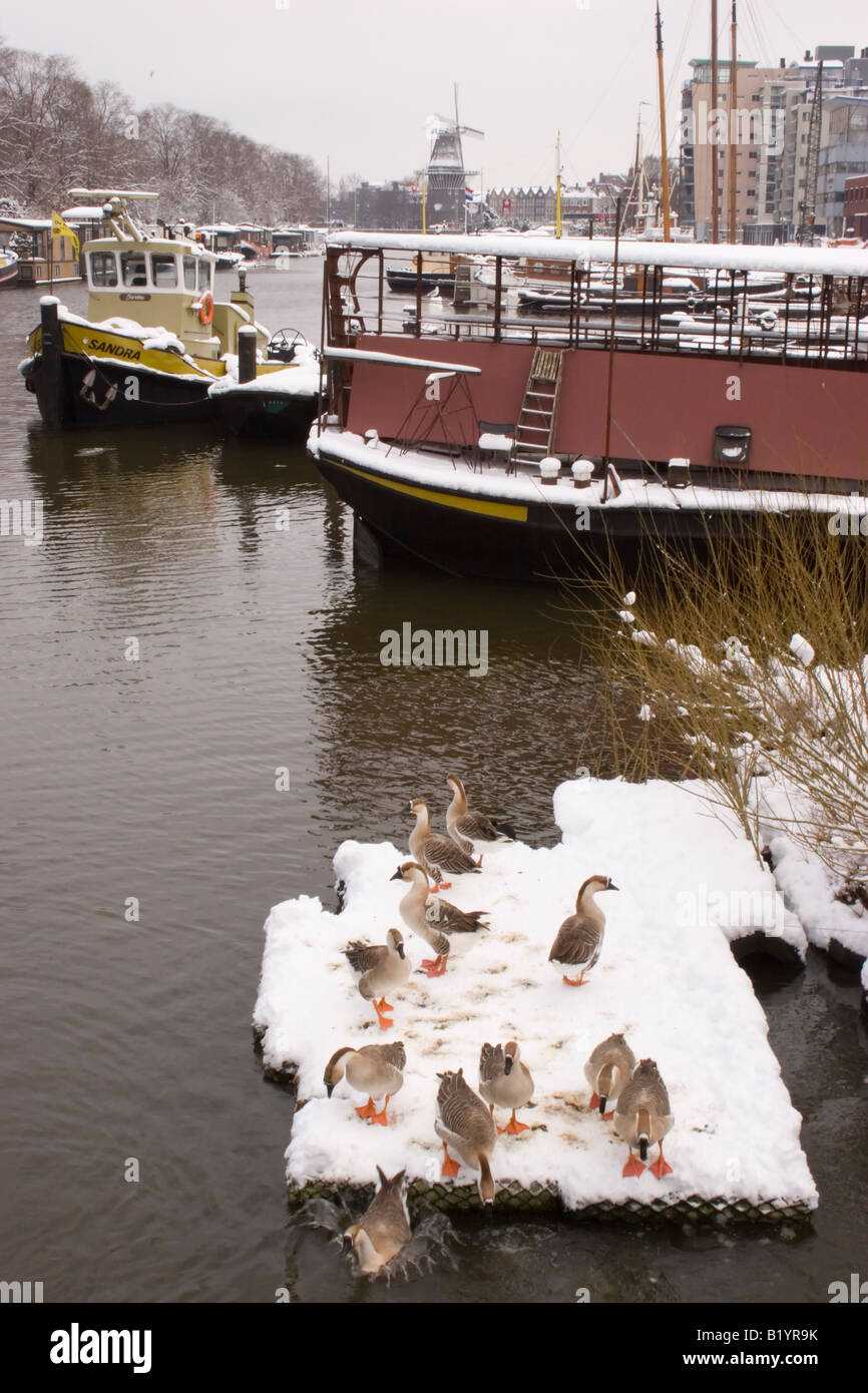 T ei -Fotos und -Bildmaterial in hoher Auflösung – Alamy