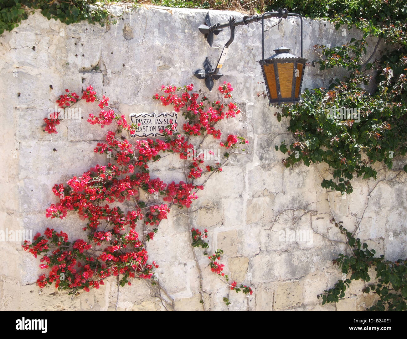 Wand mit bougainvillea blumen -Fotos und -Bildmaterial in hoher ...