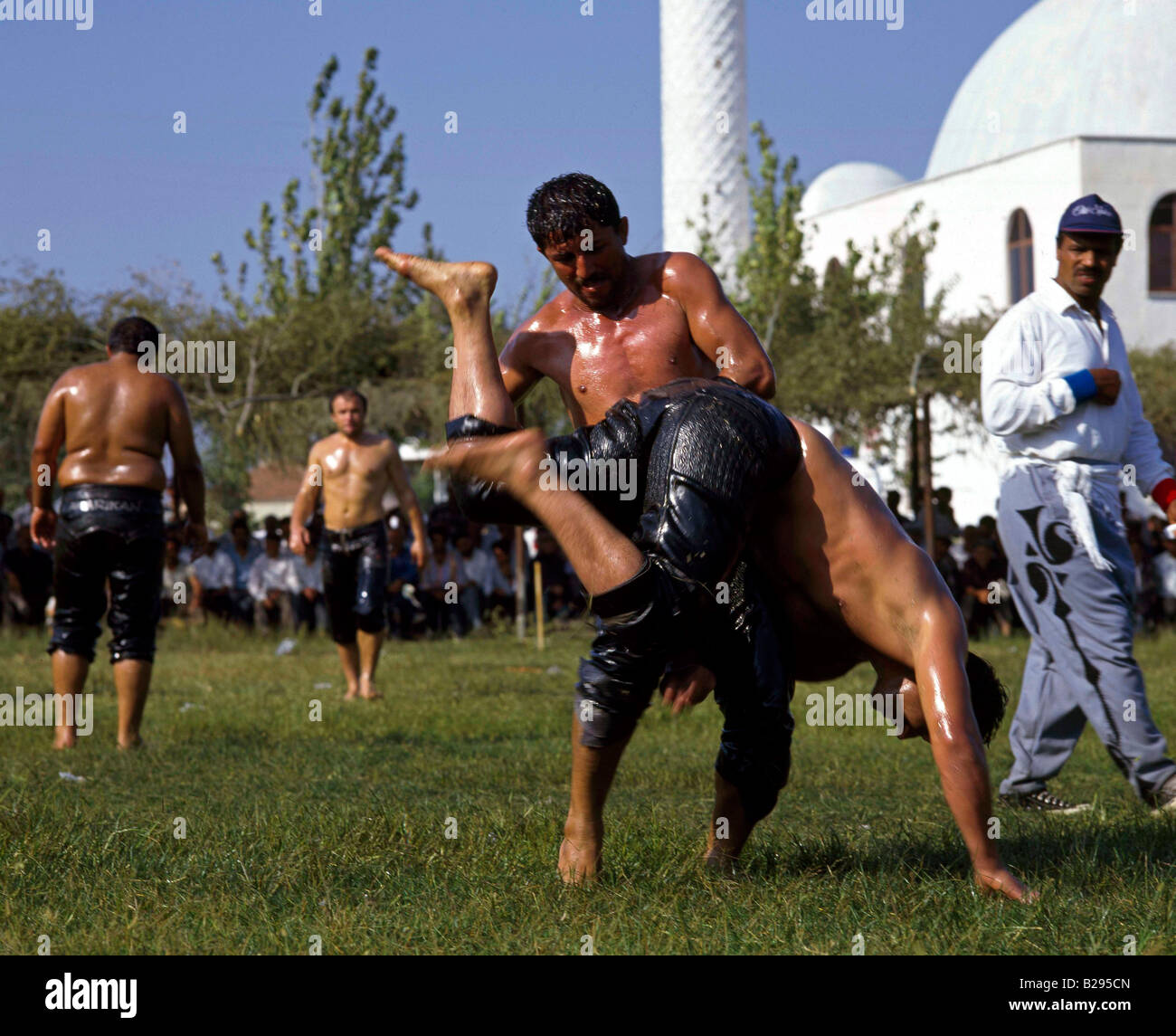Wrestling turkey -Fotos und -Bildmaterial in hoher Auflösung – Alamy