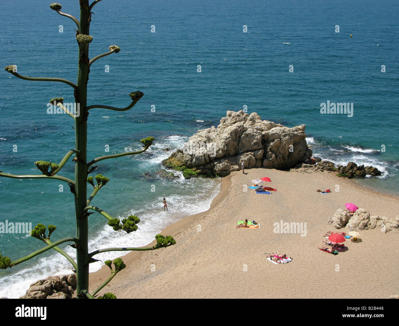 Mediterranen coast -Fotos und -Bildmaterial in hoher Auflösung – Alamy