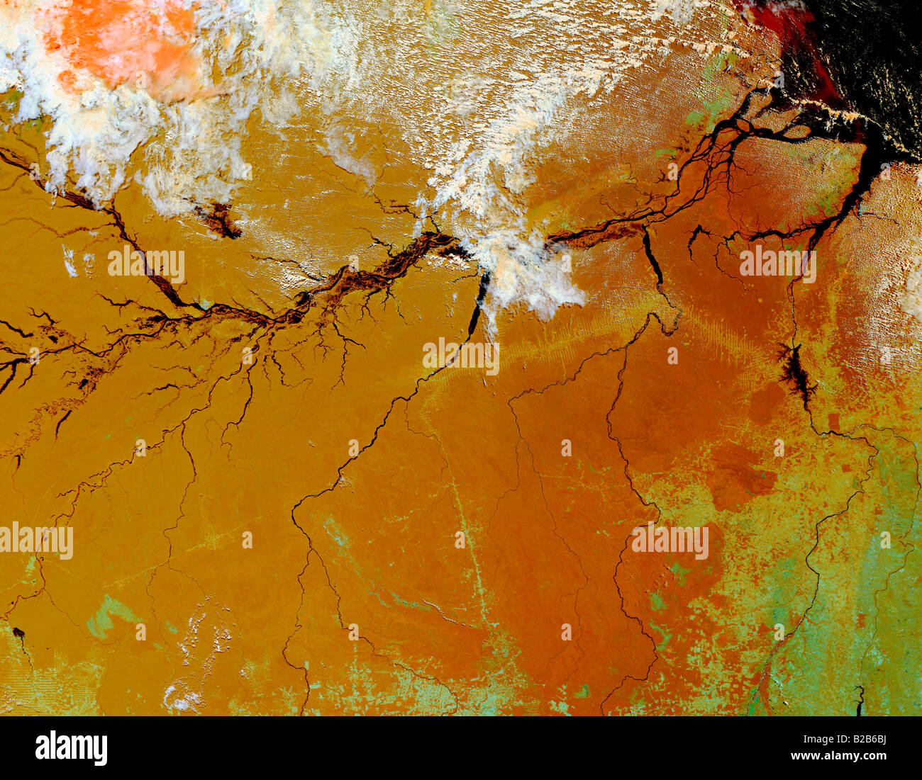 Der Amazonas-Regenwald im Norden Brasiliens Stockfotografie - Alamy