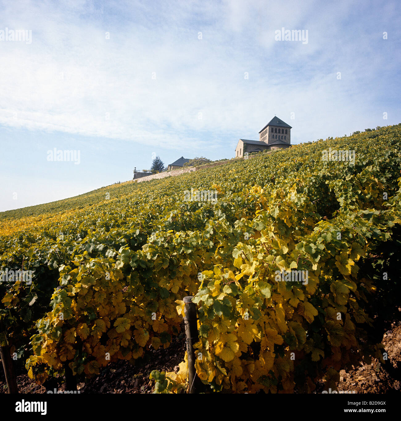 Schloss johannisberg -Fotos und -Bildmaterial in hoher Auflösung – Alamy